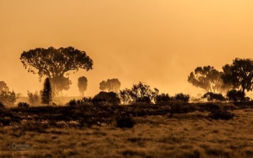 APY Lands, South Australia - Australian Geographic