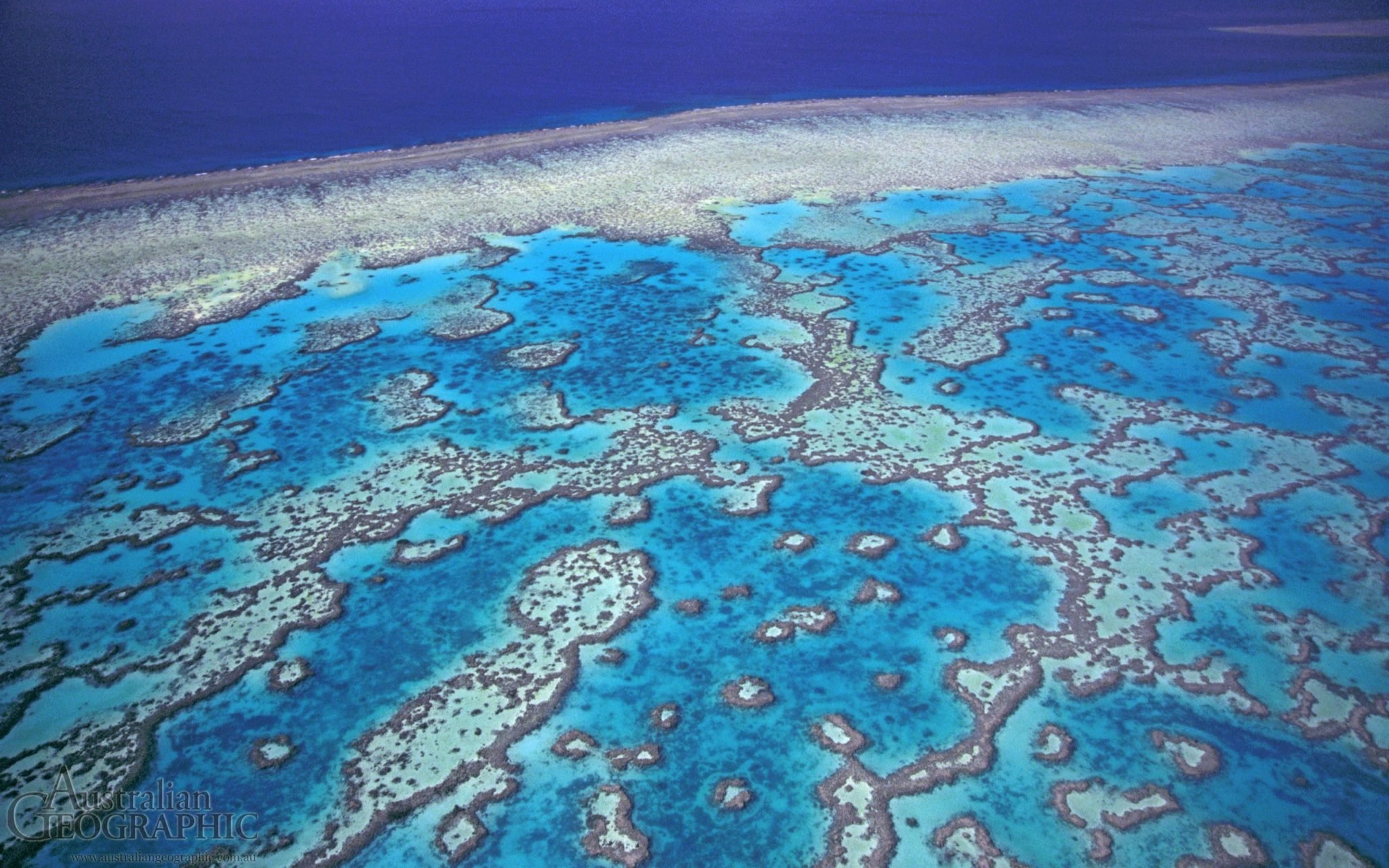 Wistari Reef, Great Barrier Reef, Queensland - Australian Geographic