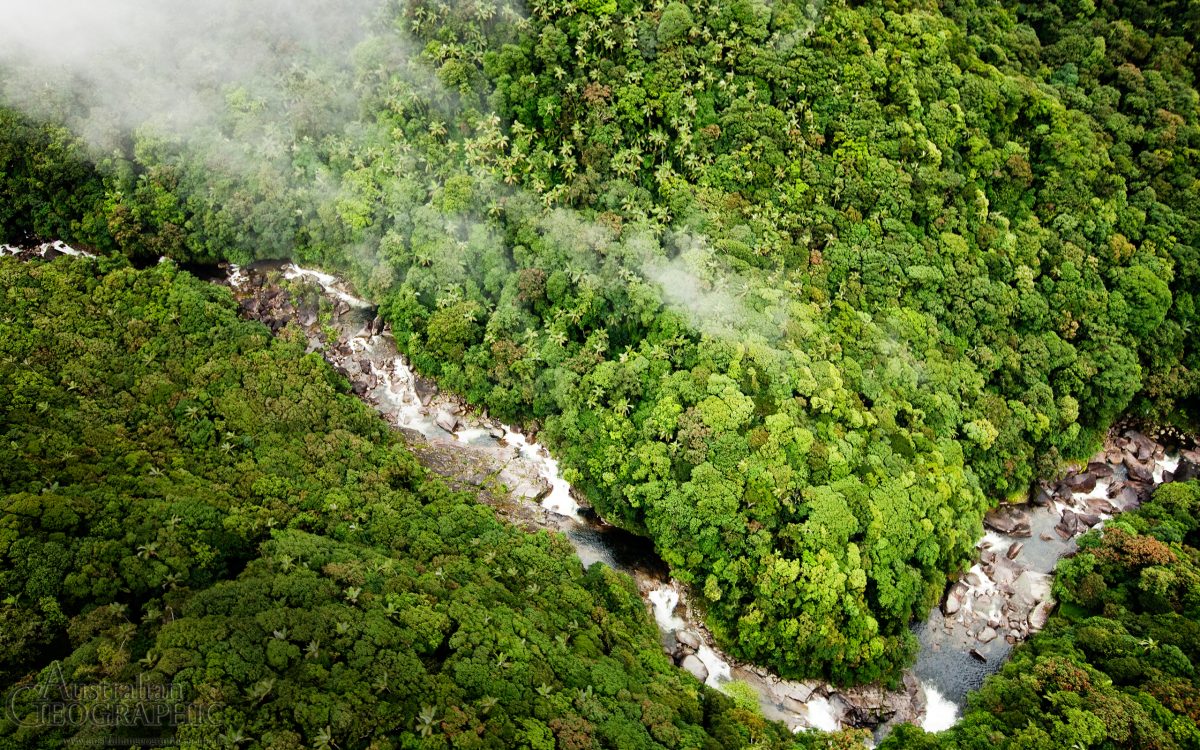 Green Ravine, Daintree, Queensland - Australian Geographic