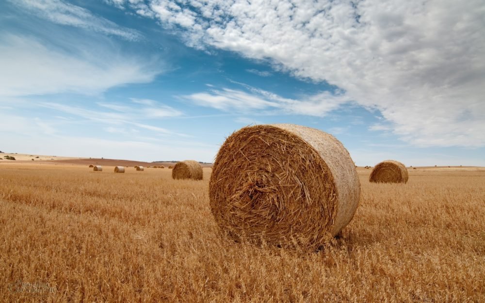 Hay bales - Australian Geographic