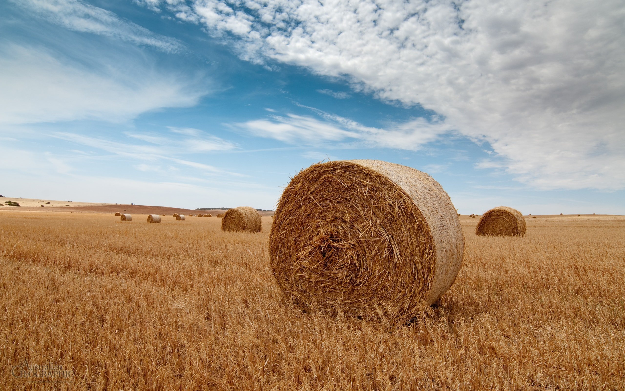Hay bales - Australian Geographic