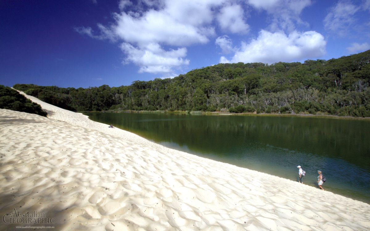 Images of Australia: Lake Wabby, Fraser Island, Queensland - Australian ...