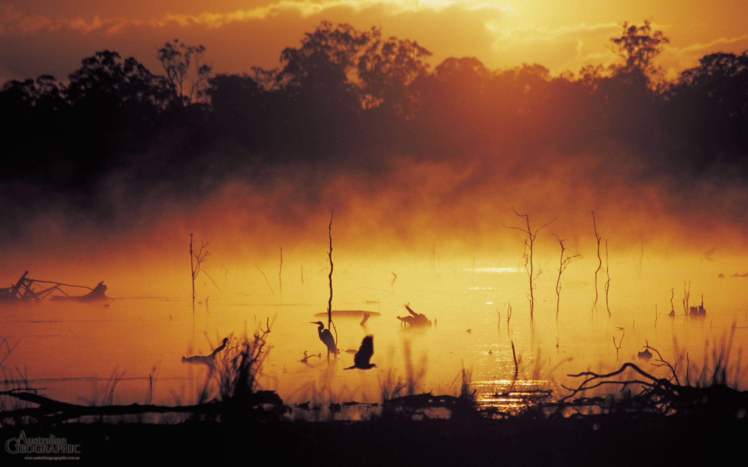Wetlands, Mareeba, Queensland - Australian Geographic