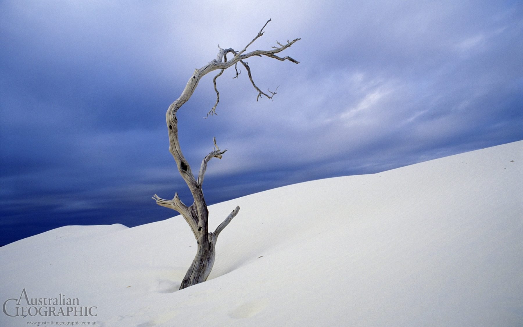 White sand dunes - Australian Geographic