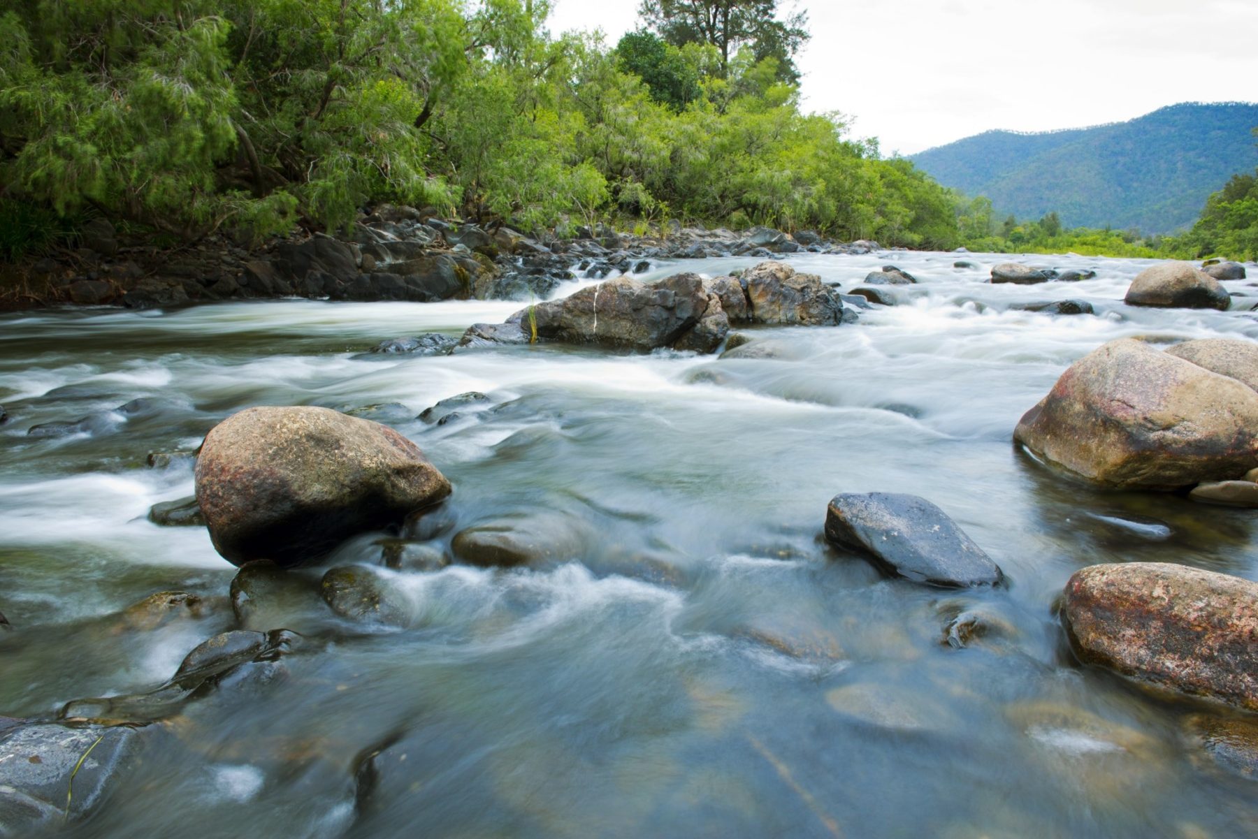 From the tablelands to the sea - Australian Geographic