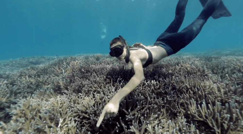 Madison Stewart's Project Hui