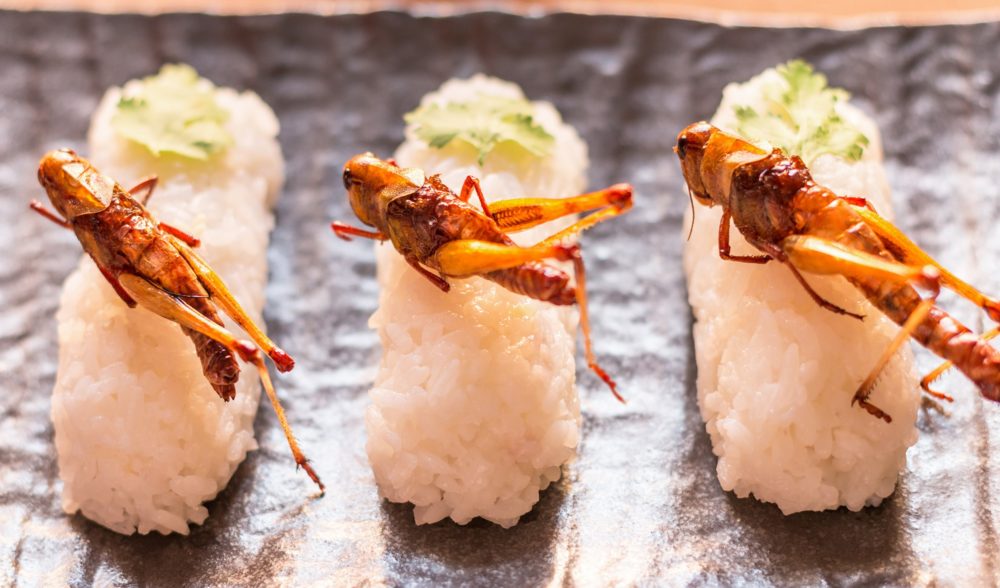 A simple guide to eating insects