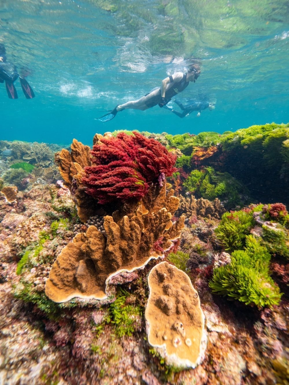 10 magnificent photographs of Lord Howe Island - Australian Geographic