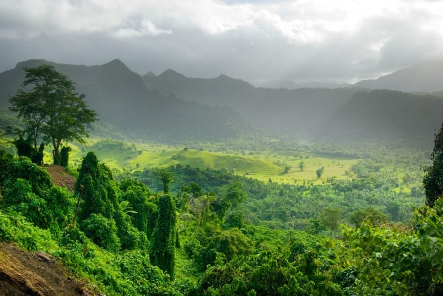 Top 6 wild adventures in Samoa