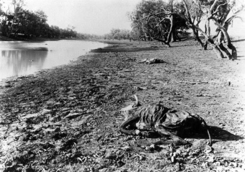 The Federation drought - Australian Geographic