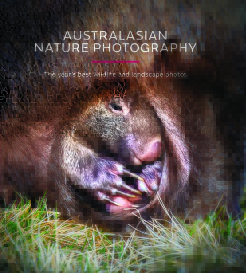 AUSTRALIAN GEOGRAPHIC IN LIVING MEMORY (PAPERBACK EDITION) - Australian ...