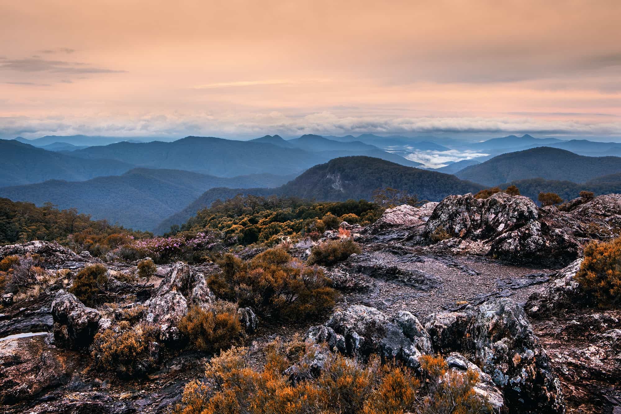 Splendid protection - Australian Geographic