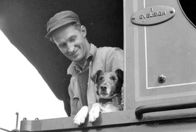 Ned Kelly, Boofhead and The Black Stump