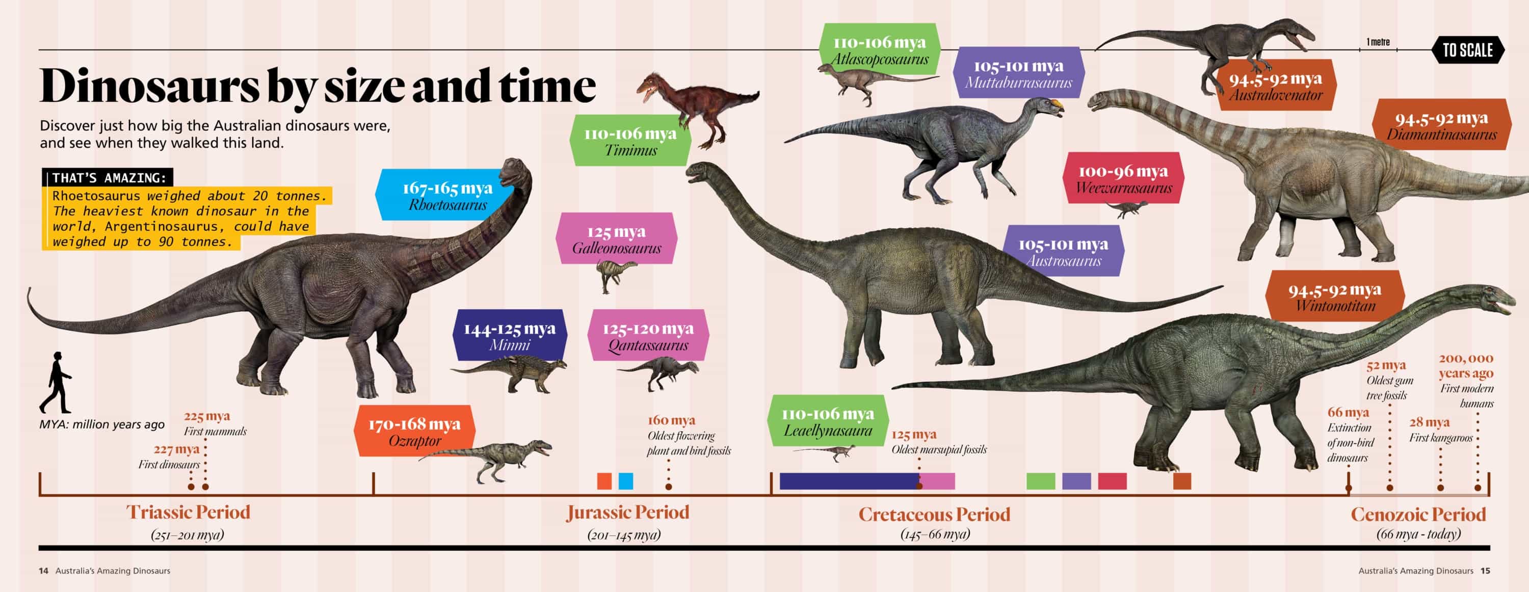 Australia's Amazing Dinosaurs - Australian Geographic