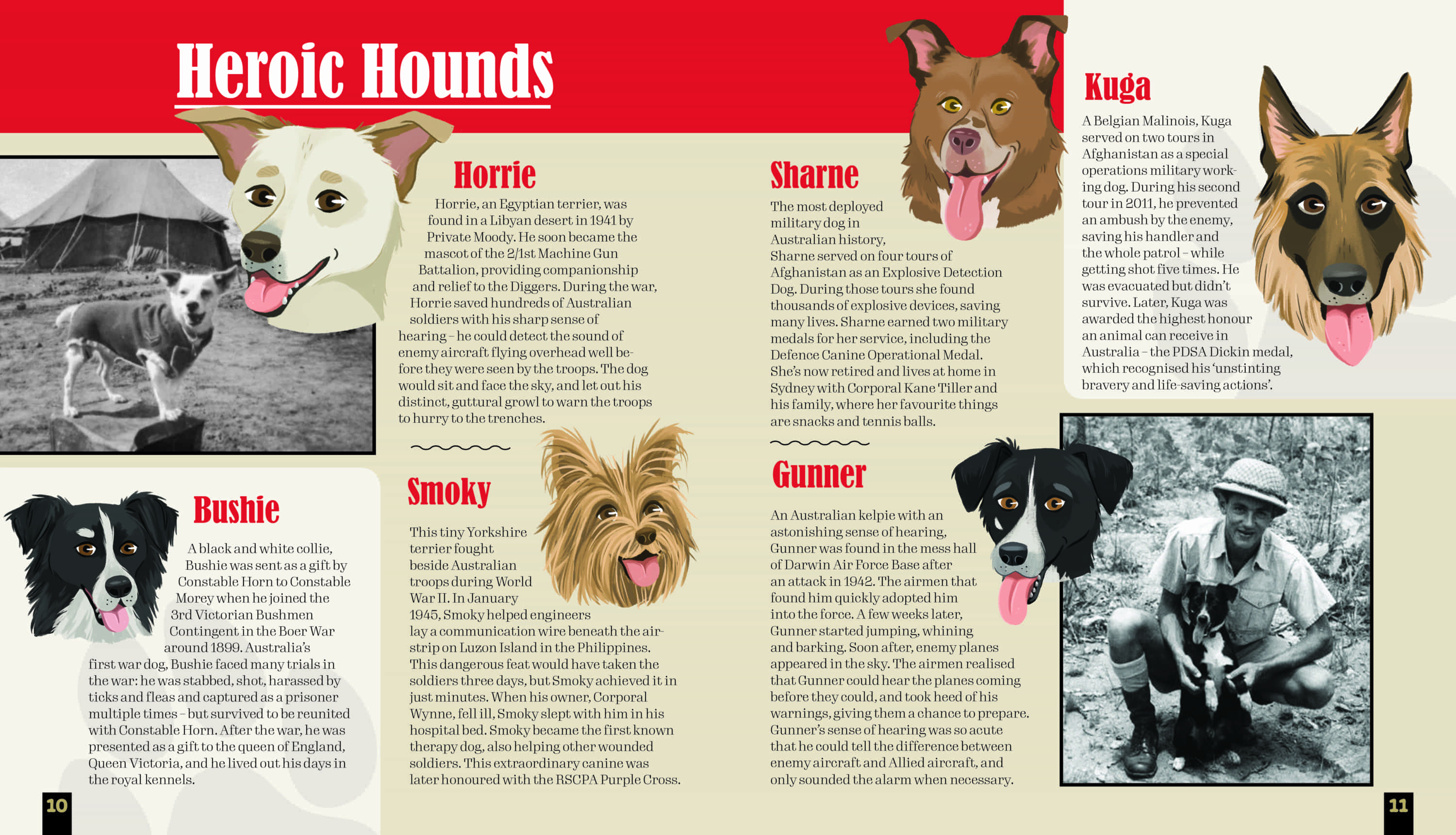 Awesome Aussie Dogs - Australian Geographic