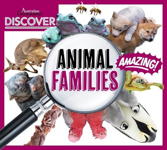 Discover Series - Fun & Educational - Australian Geographic