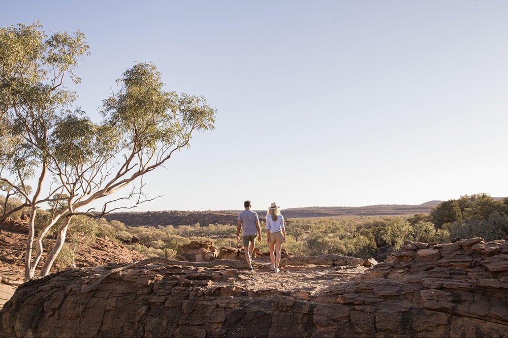 The stars of Outback NSW - Australian Geographic
