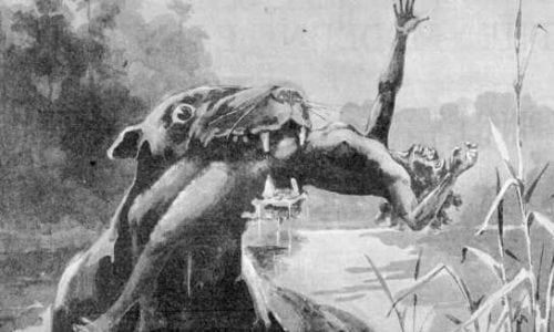 The case of the roaring bunyip - Australian Geographic