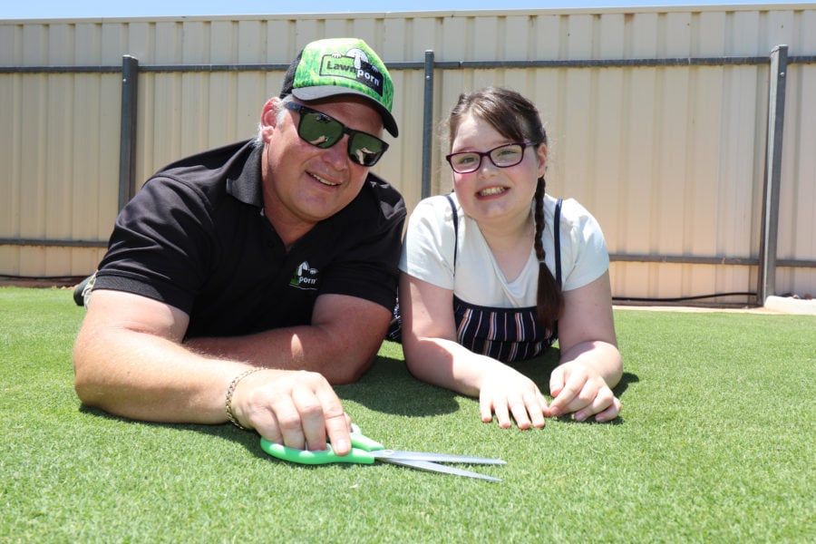 Turf wars: should we start using alternatives to traditional lawns in ...