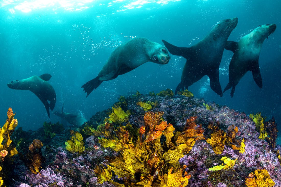 Exploring the Shoalhaven in pictures - Australian Geographic