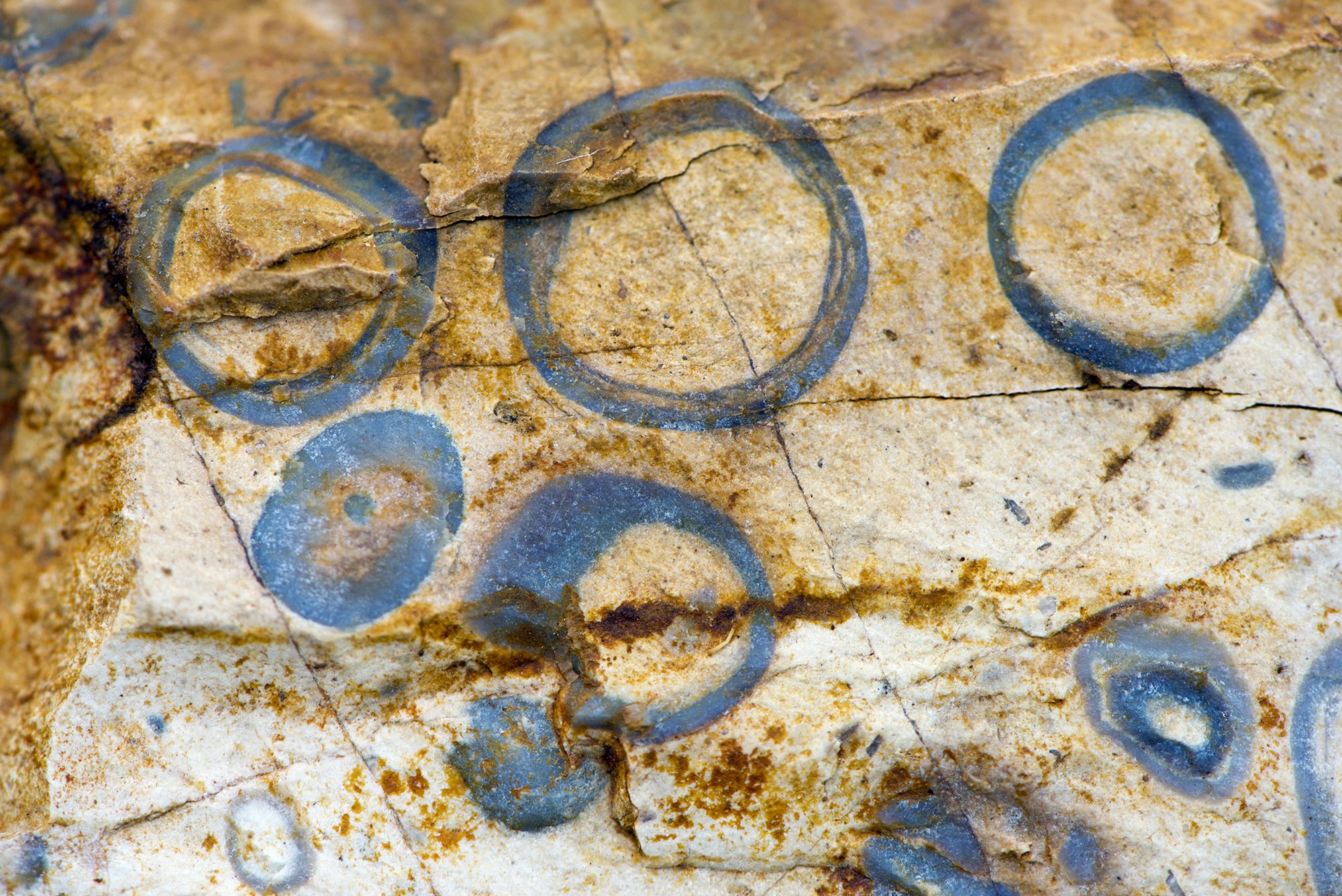 Cosgrove hotspot track: a chain of ancient volcanoes stretching from ...