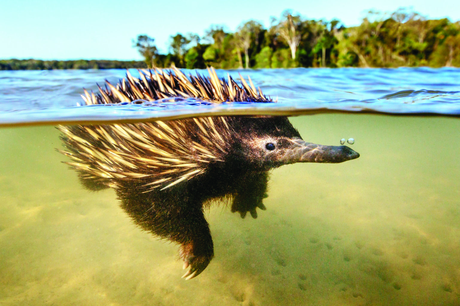 'How many assumptions have been made?' There's a lot we don't know ...