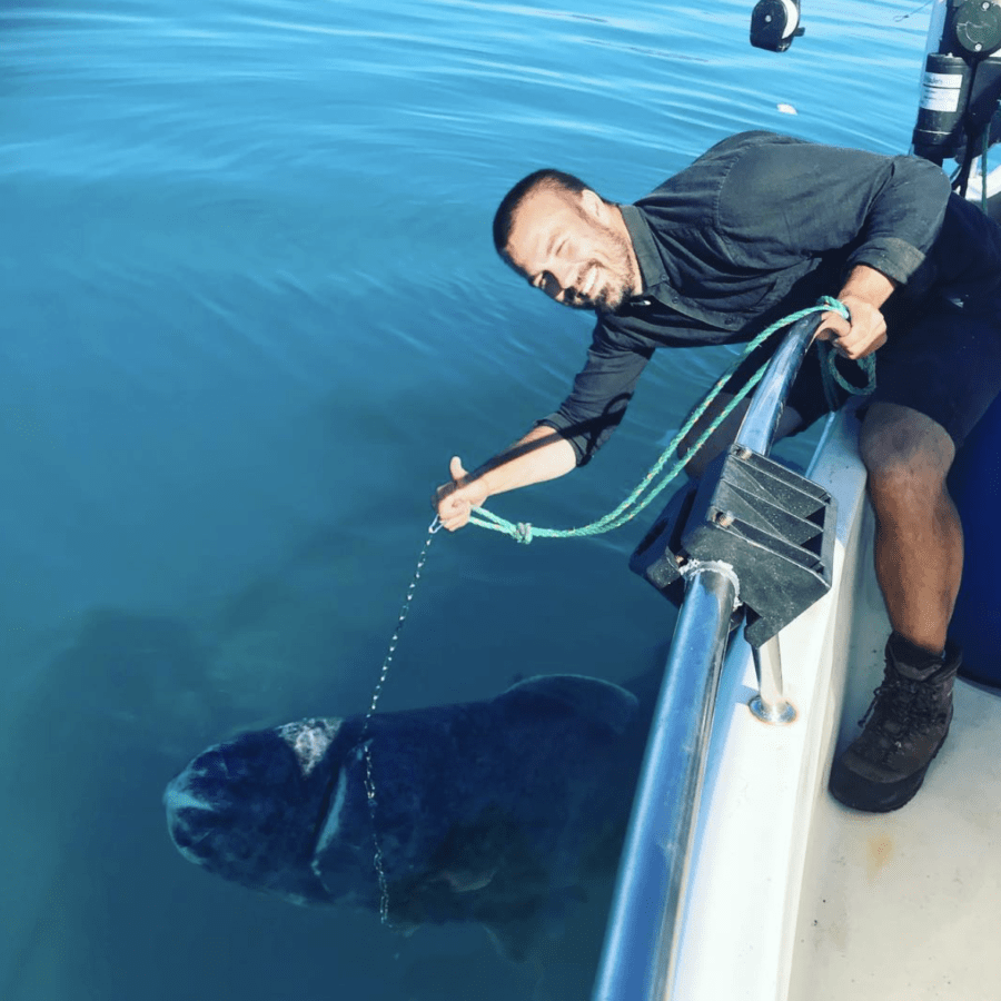 Saving the sharks - Australian Geographic