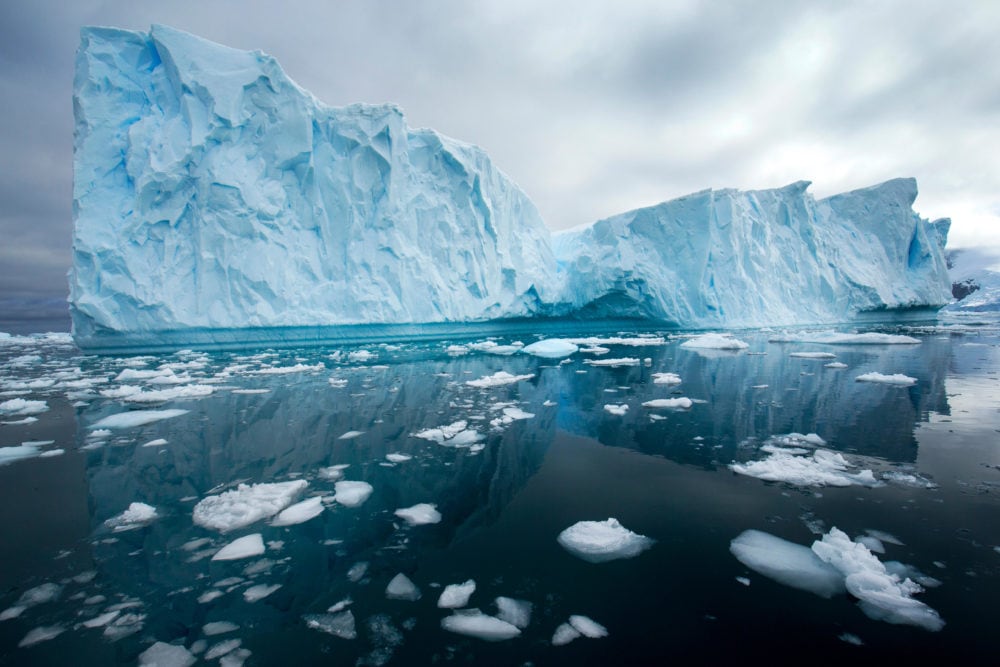 An Ocean Like No Other The Southern Ocean s Ecological Richness And an-ocean-like-no-other-the-southern-ocean-s-ecological-richness-and