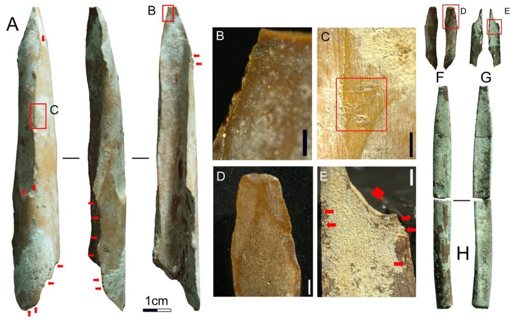 35,000 year-old Kangaroo-bone tools found in remote cave in southern ...