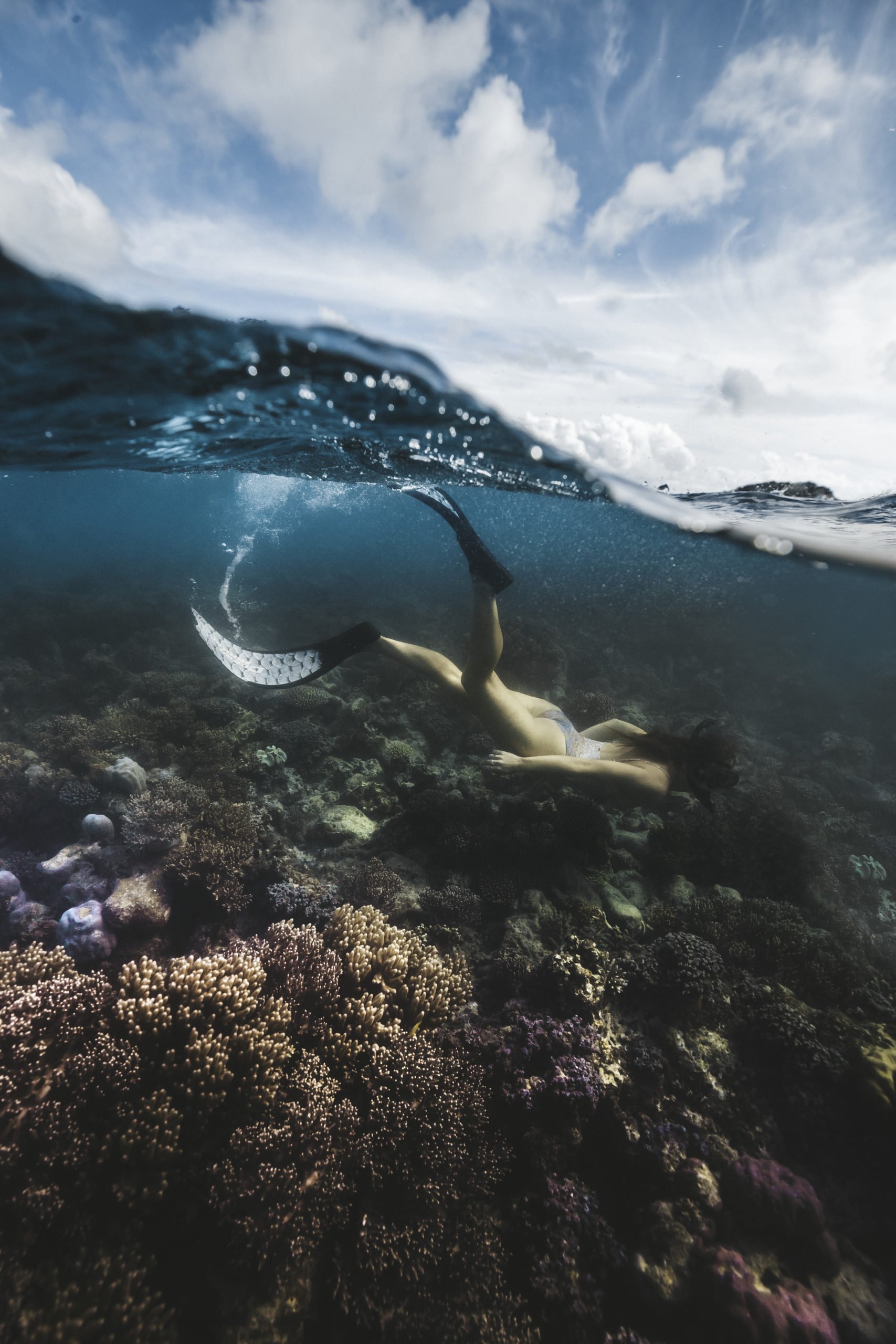 Top 5 Tropical North Queensland island idylls - Australian Geographic