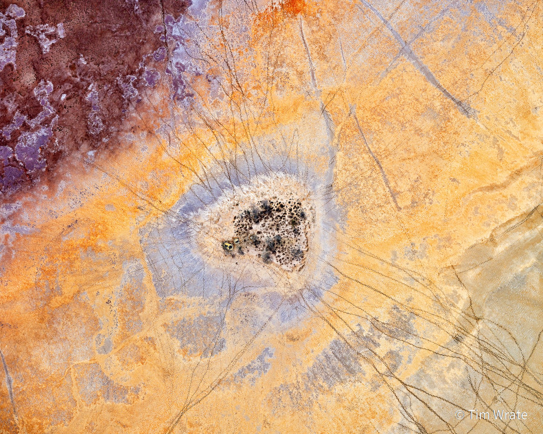 2021 Australian Geographic Nature Photographer of the Year winners ...