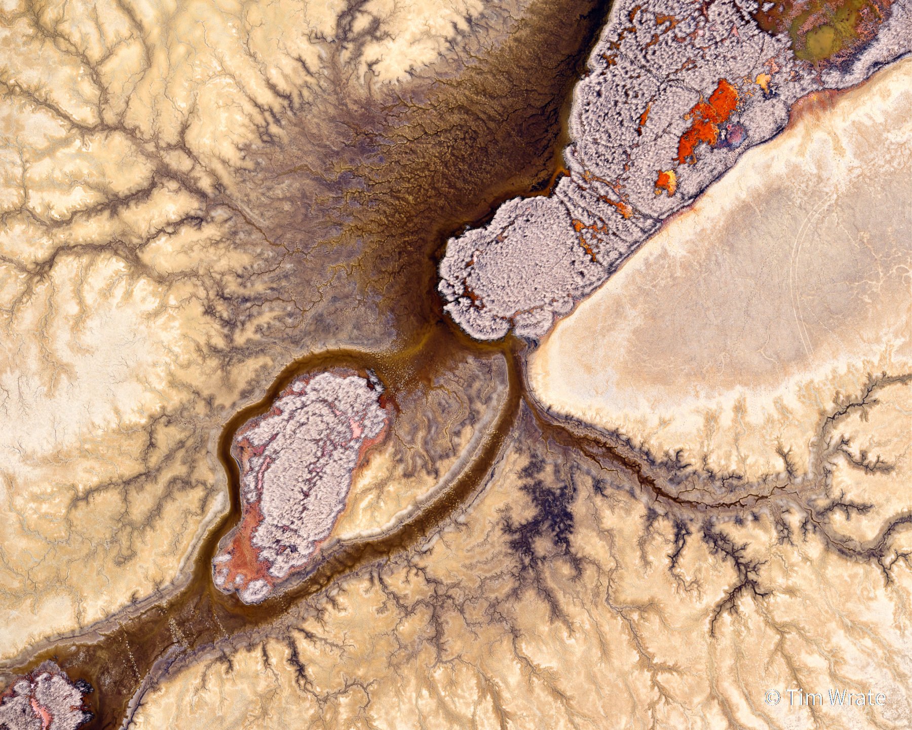 2021 Australian Geographic Nature Photographer of the Year winners ...