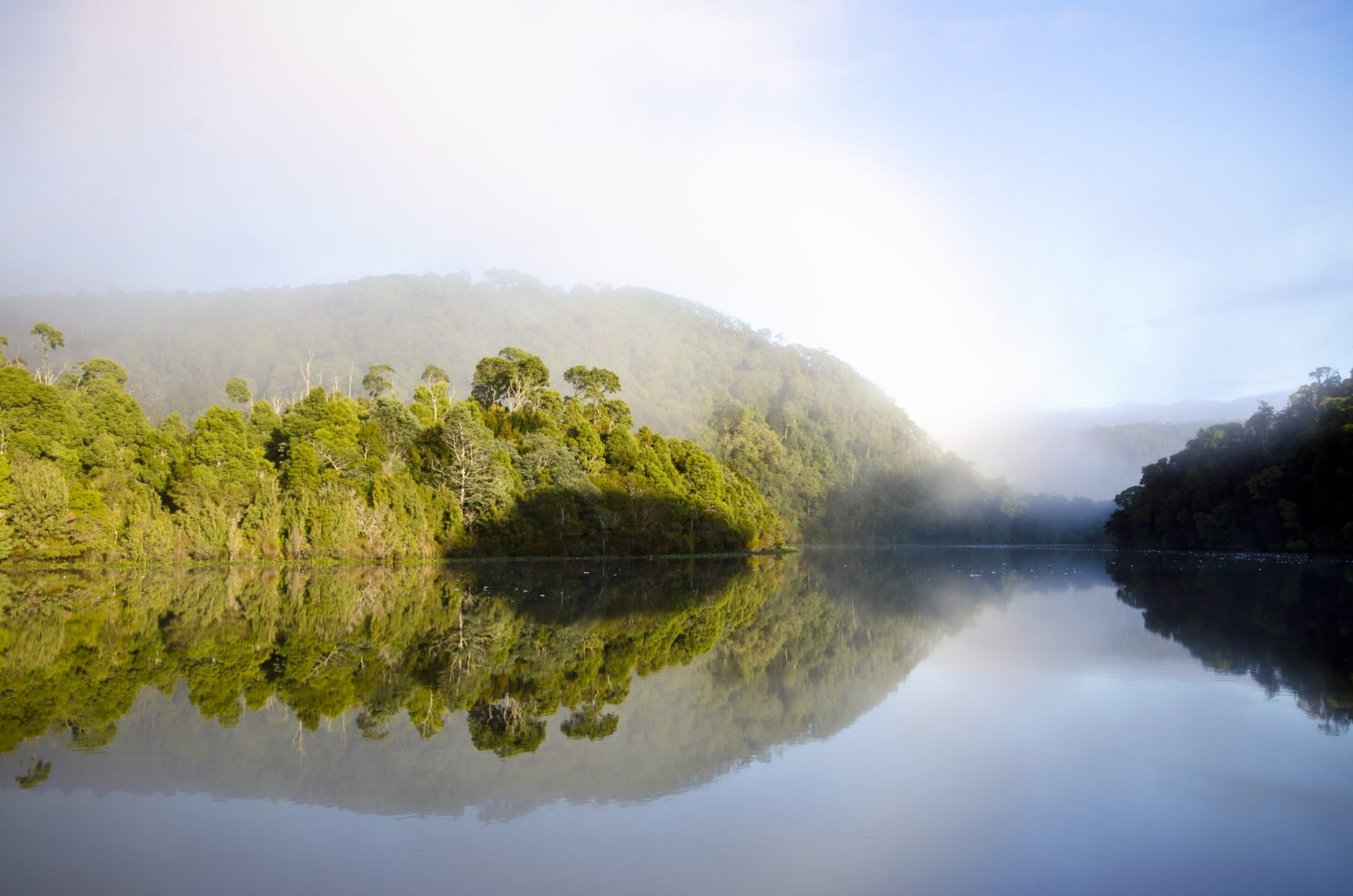 The Tarkine: natural Tasmanian wonder - Australian Geographic