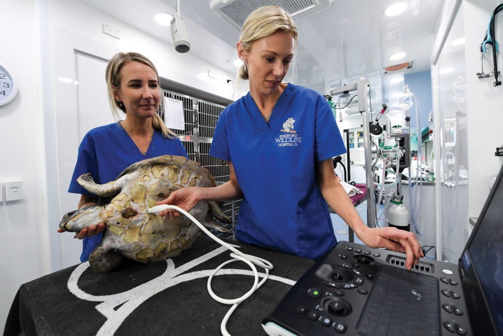 Inside Australia’s first mobile veterinary hospital - Australian Geographic