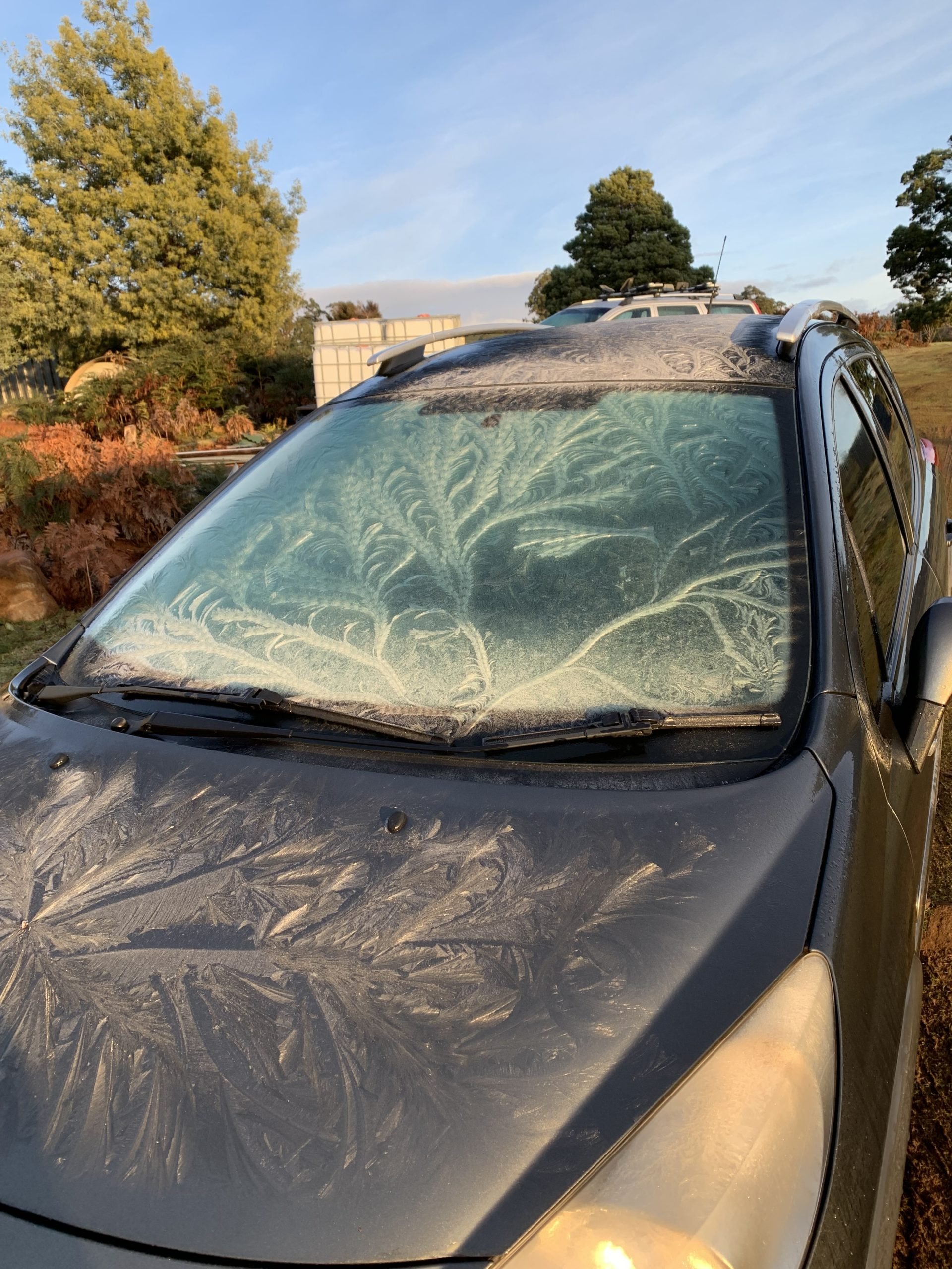 The science behind frost patterns - Australian Geographic