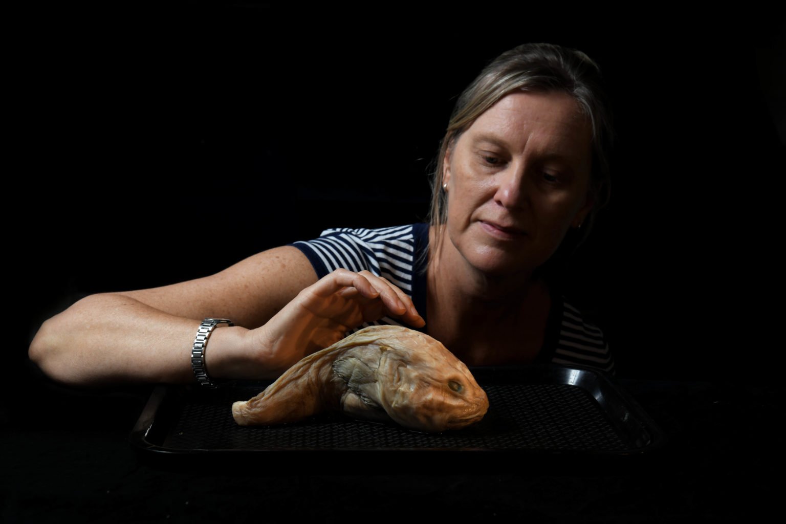 "I try to find the beauty in everything": Checking in on the fugly fish ...