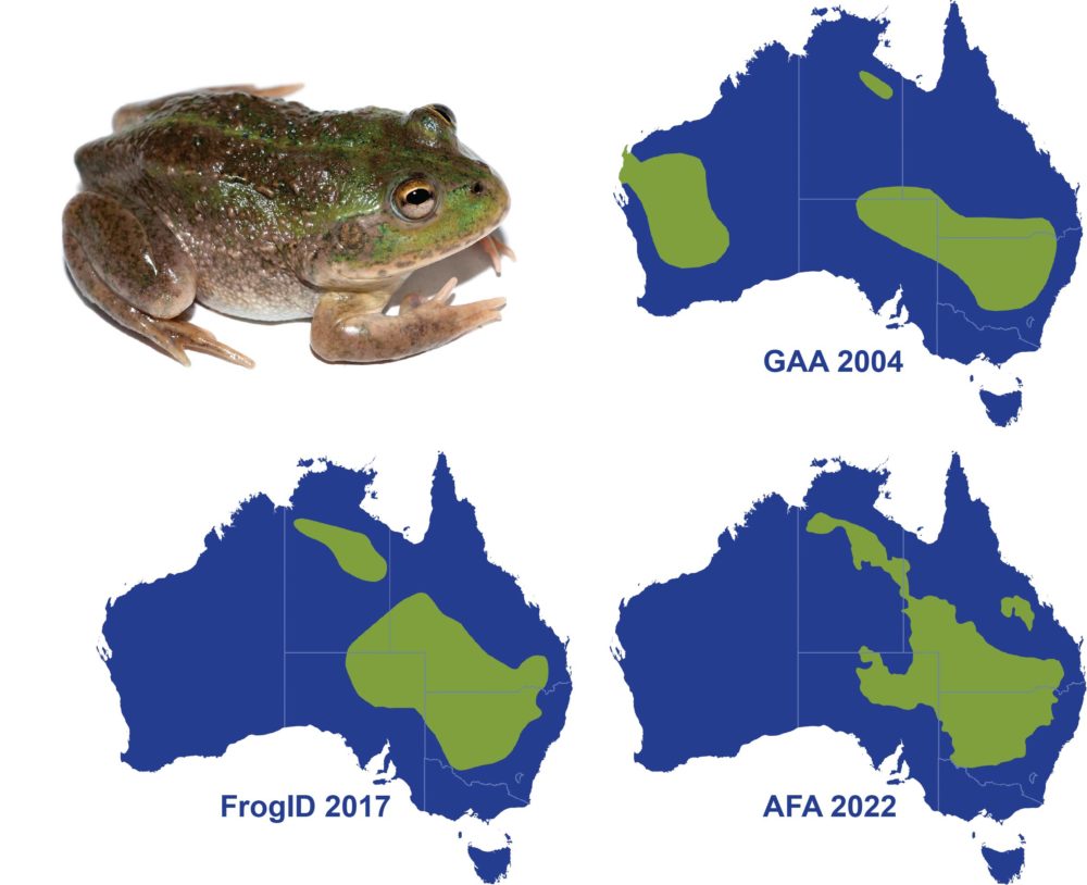 Citizen scientists huge help in creating Australian Frog Atlas: reveals ...