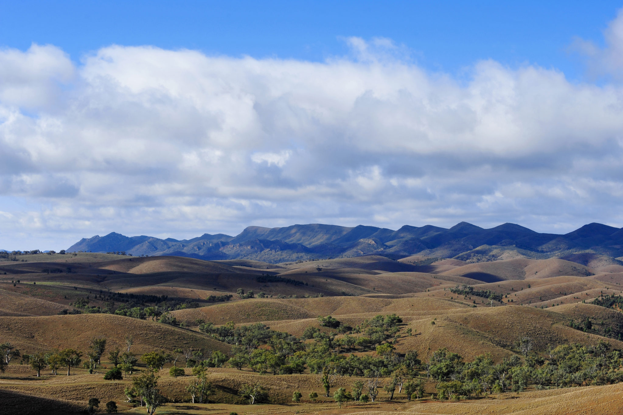Explore outback South Australia's ancient realm - Australian Geographic