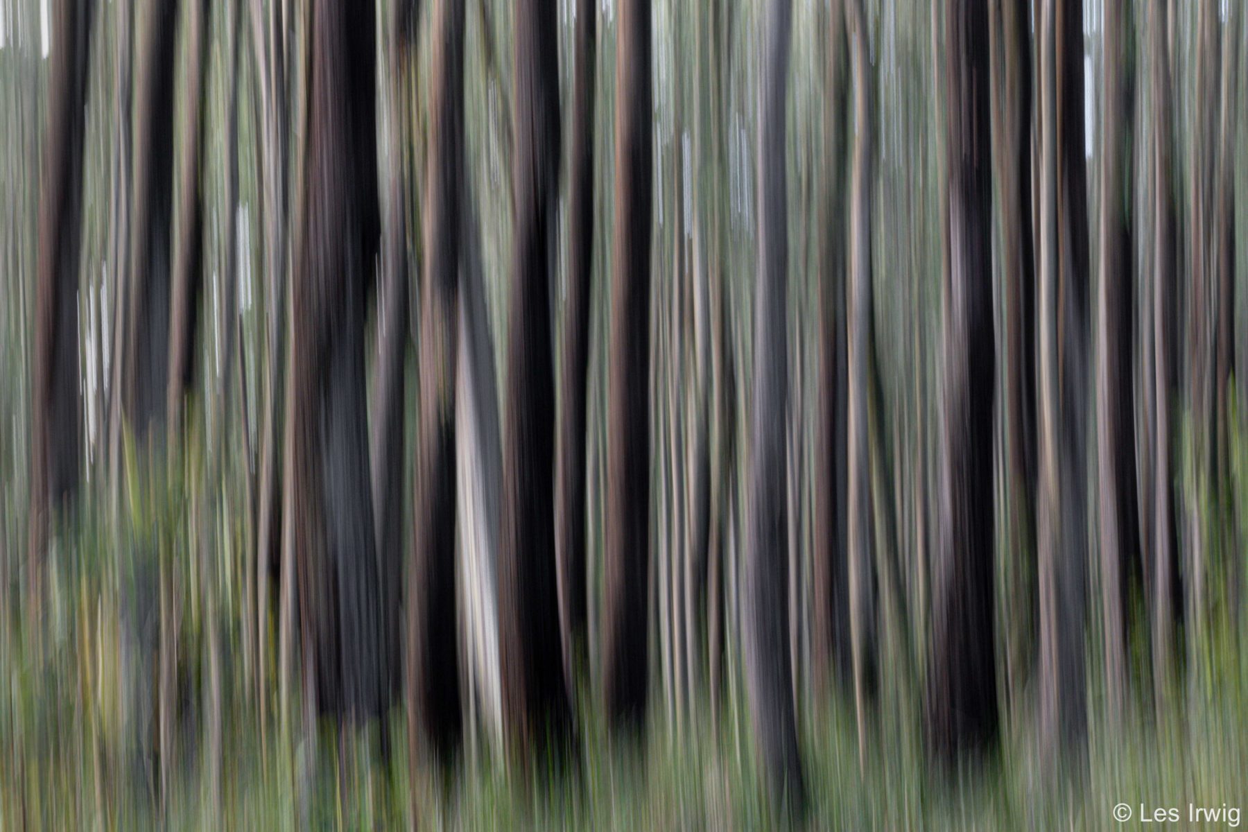 AG Nature Photographer of the Year 2022: Botanical shortlist ...