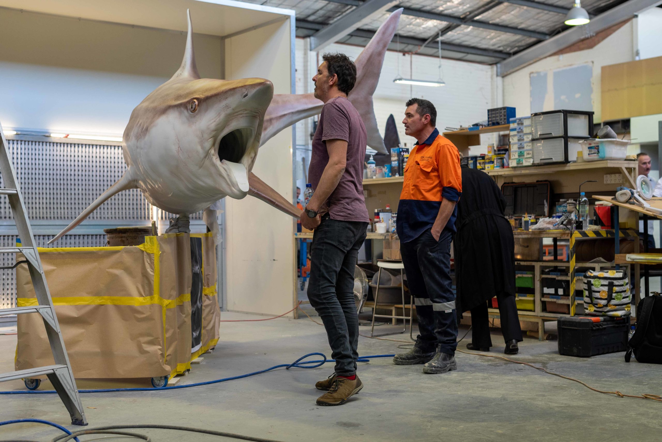 Shark out of water: the model makers bringing our finned friends to ...