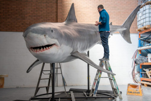 Shark out of water: the model makers bringing our finned friends to ...