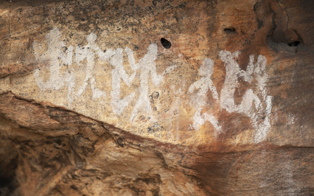 Between a rock and a hard place - Australian Geographic