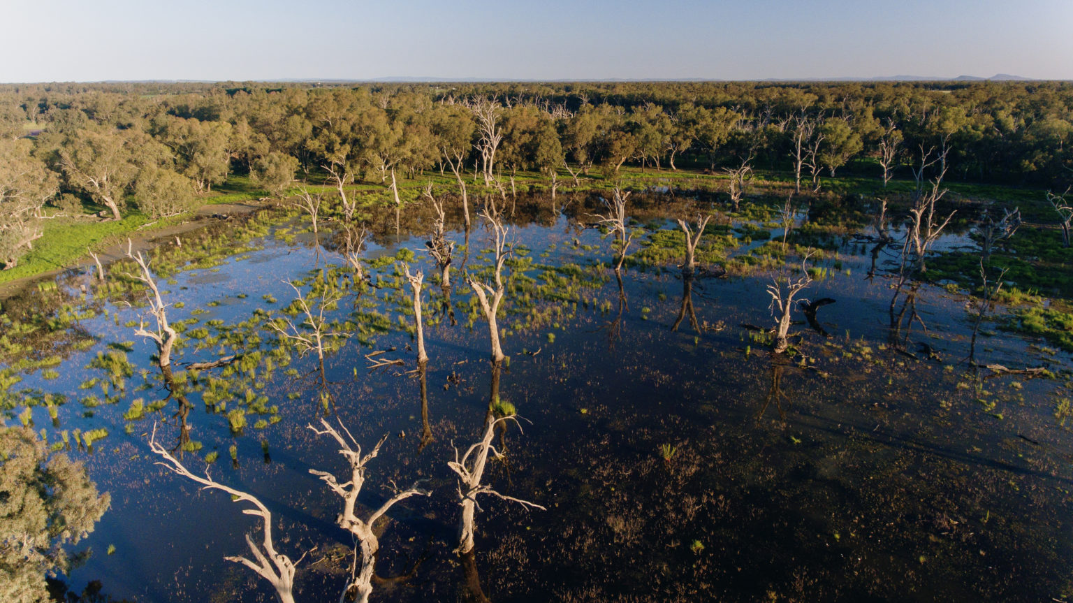 Five wildly playful adventures in Forbes - Australian Geographic