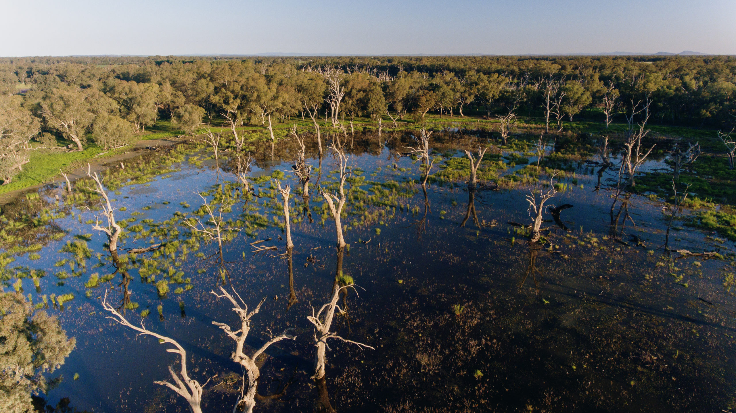 Five wildly playful adventures in Forbes - Australian Geographic