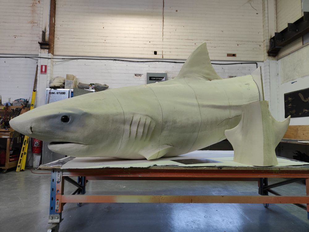 Shark out of water: the model makers bringing our finned friends to ...