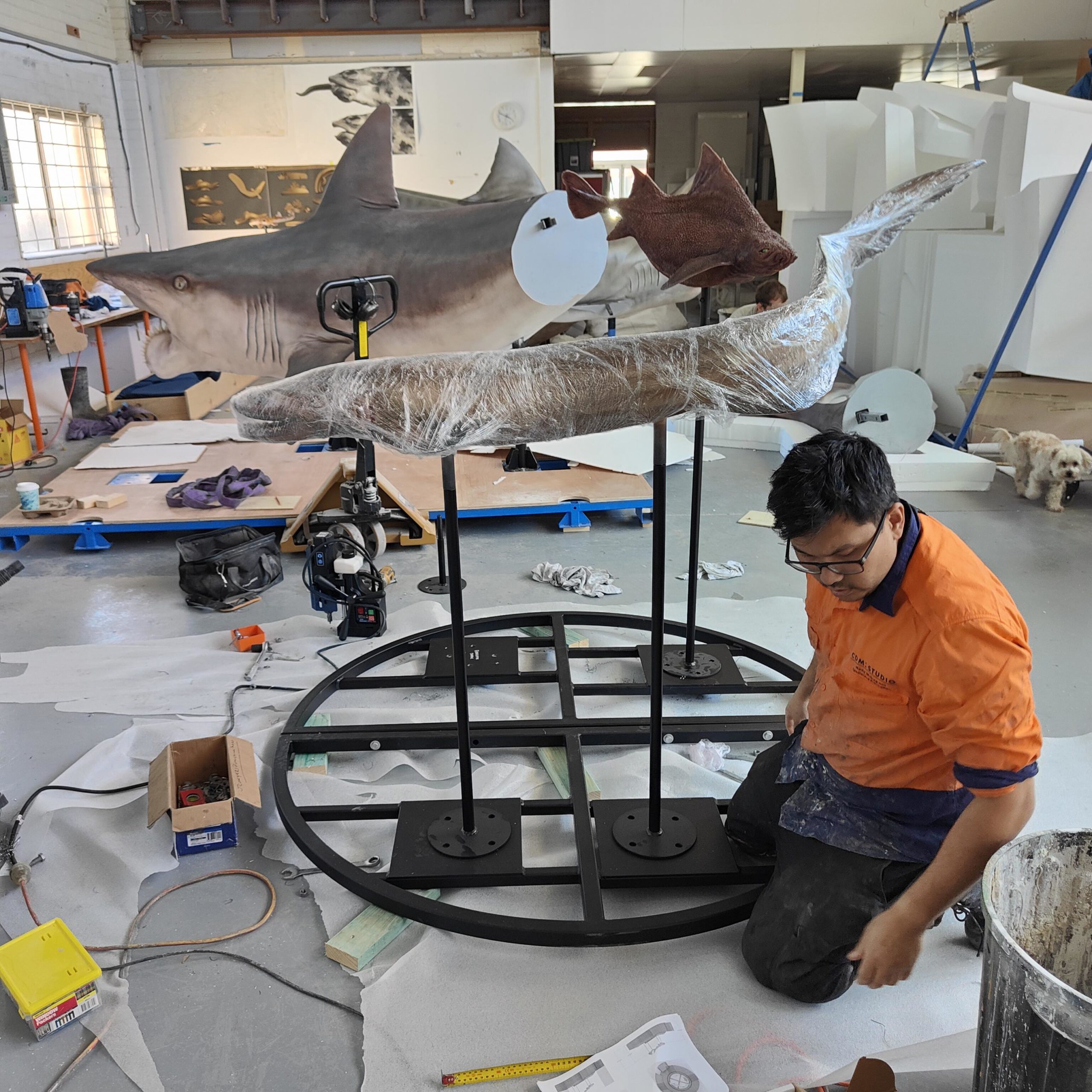 Shark out of water: the model makers bringing our finned friends to ...