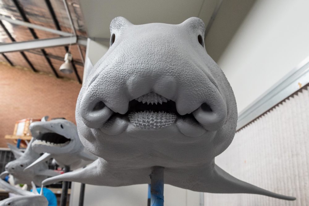 Shark out of water: the model makers bringing our finned friends to ...