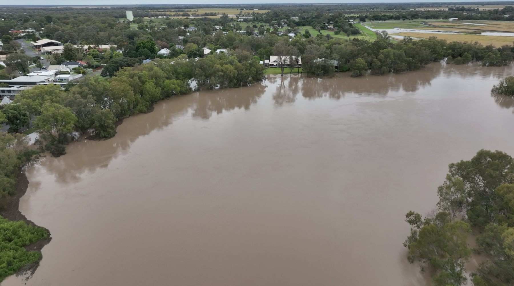 What more in store for a flooded Moree? - Australian Geographic