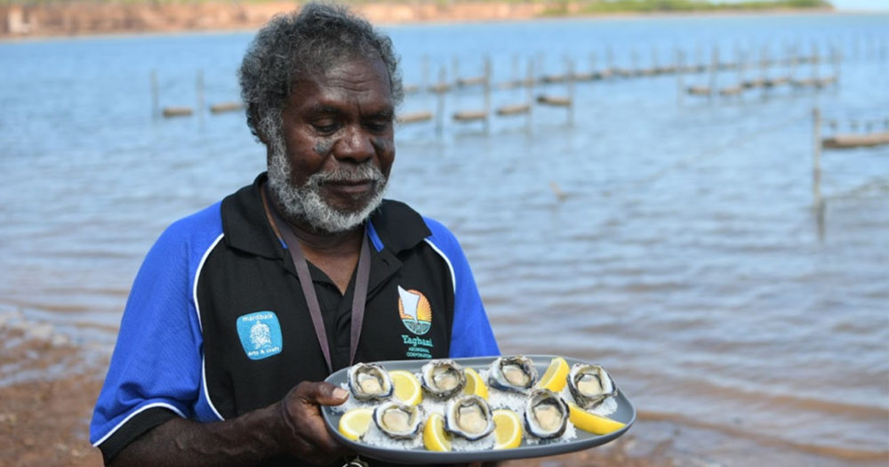 Aw shucks: tropical oysters a real pearler for shellfish aficionados ...
