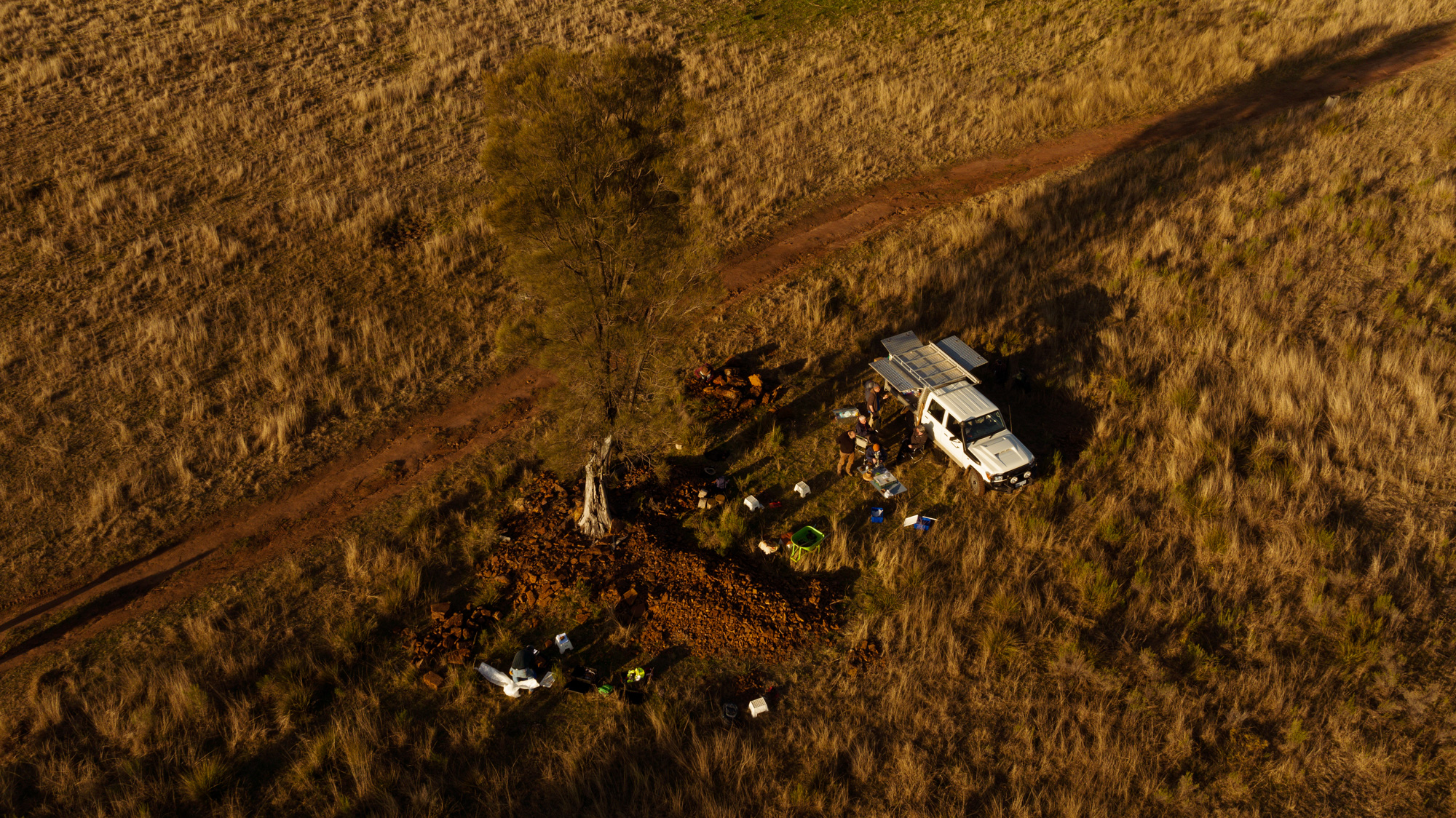 Billabong of ancient life - Australian Geographic